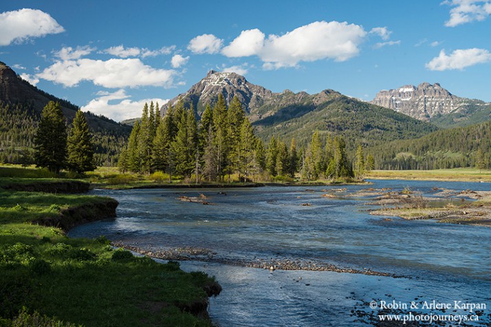 Photographing Yellowstone: Part 3 Wildlife | Photo Journeys