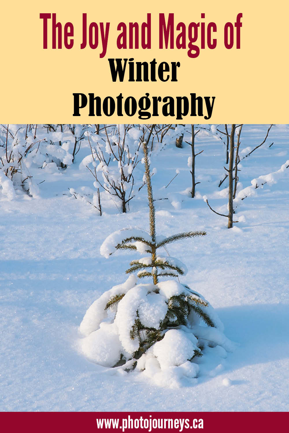 Cool Tips for Winter Photography | Photo Journeys